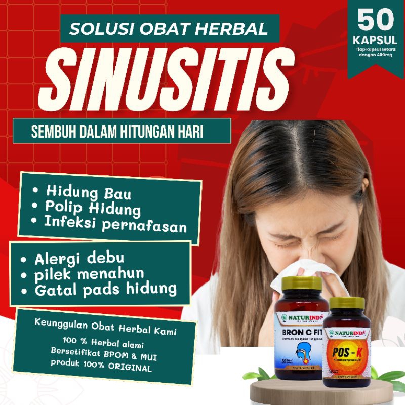 Jual obat sinusitis polip hidung hidung bau Rhinitis hidung bau busuk ...