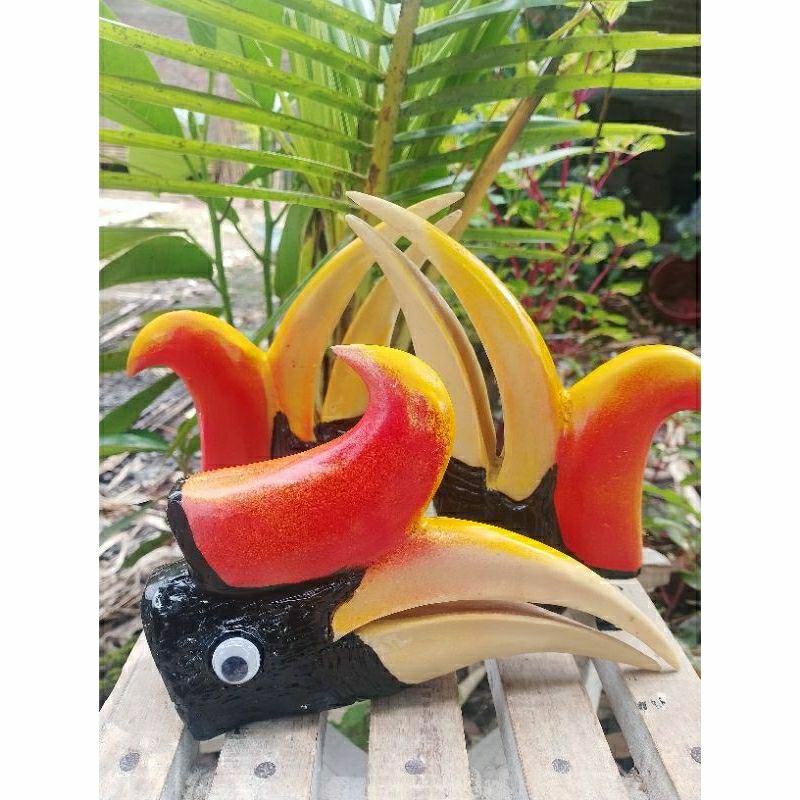 Jual Burung Enggang Untuk Aksesoris Topi Dayak Kalimantan | Shopee ...