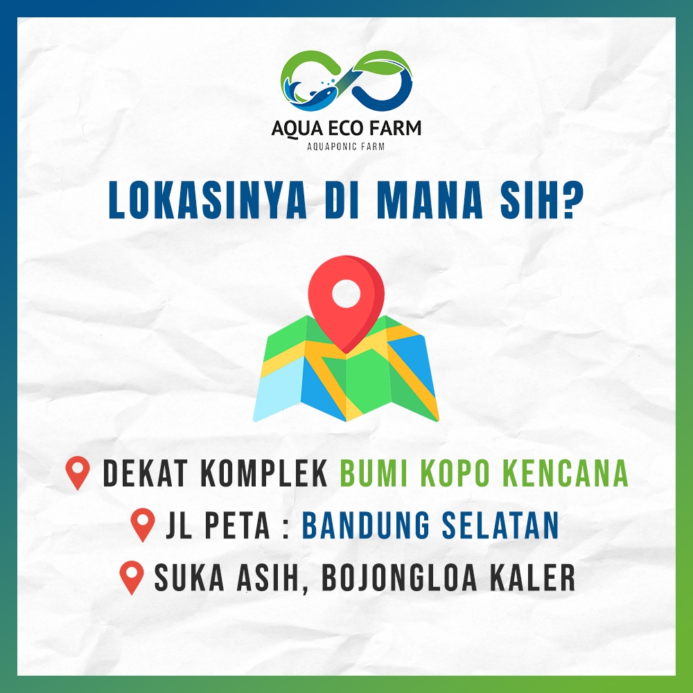 Jual [AquaEcoFarm] Indomilk susu Kental Manis Rasa Durian Musang King ...