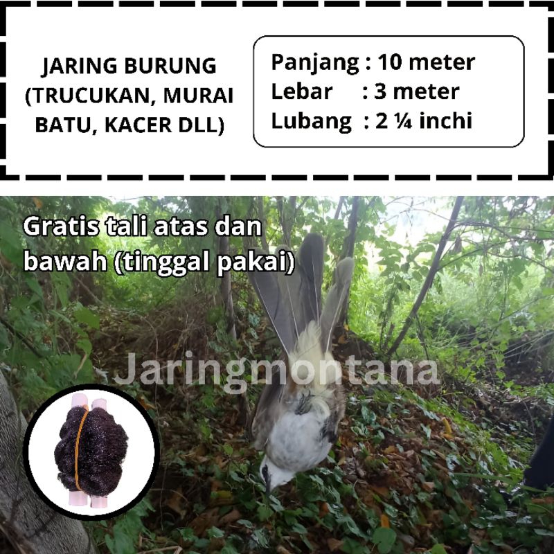 Jual JARING BURUNG BESAR JARING BURUNG TRUCUKAN JARING BURUNG KUTILANG ...
