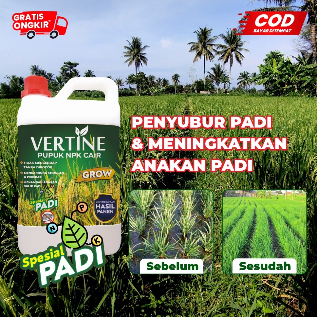 Jual Vertine Grow Pupuk Pelebat Anakan Padi, Percepat Pertumbuhan + ZPT Special Penambah Benih ...