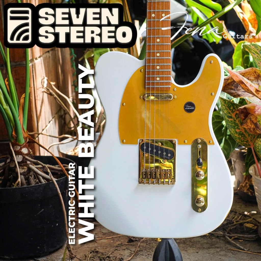 Jual Fena Telecaster White Beauty Roasted Maple Neck Electric Guitar ...