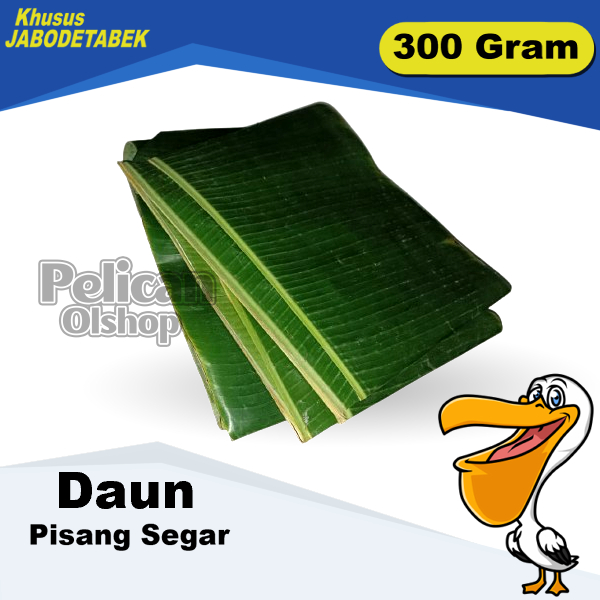 Jual Daun Pisang Segar 300 gram Banana Leaves Leaf Fresh Bungkus ...