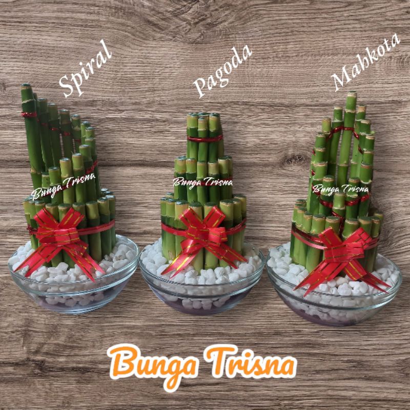 Jual Bambu hoki vas kaca + batu Salju + Pita/Bambu keberuntungan/Bambu ...