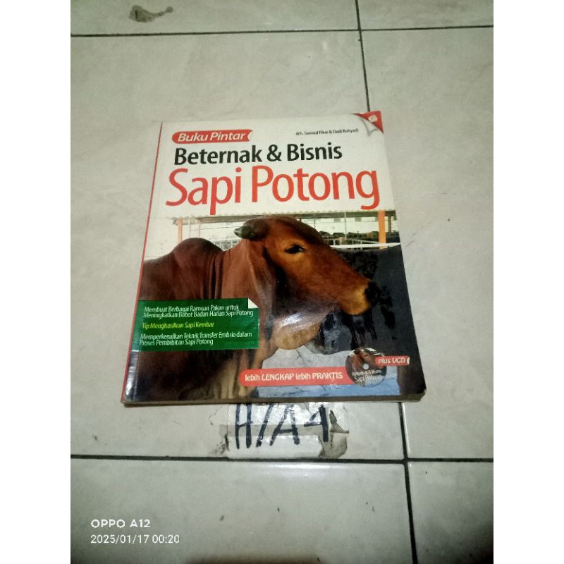Jual Beternak dan berbisnis sapi potong | Shopee Indonesia