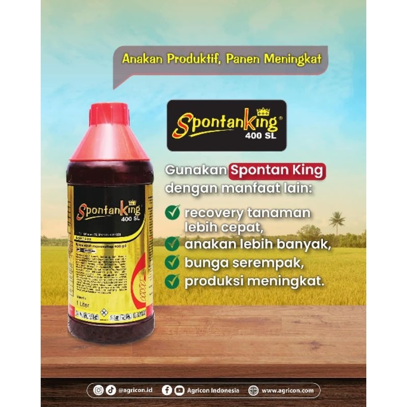 Jual SPONTAN KING 400SL insektisida pengerek batang,sundep,kemasan ...