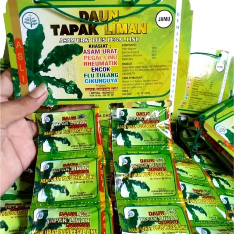 Jual Daun Tapak Liman kapsul [ asam urat ] paket 10 hanger | Shopee ...