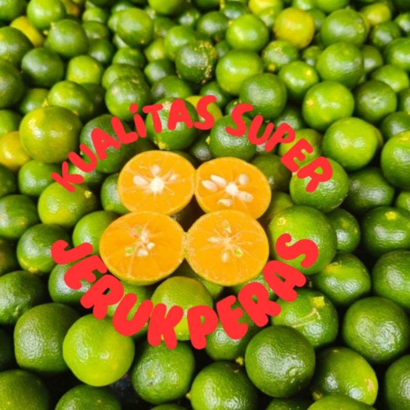 Jual Jeruk peras/jeruk songkit super2 semua Harga 1kg | Shopee Indonesia