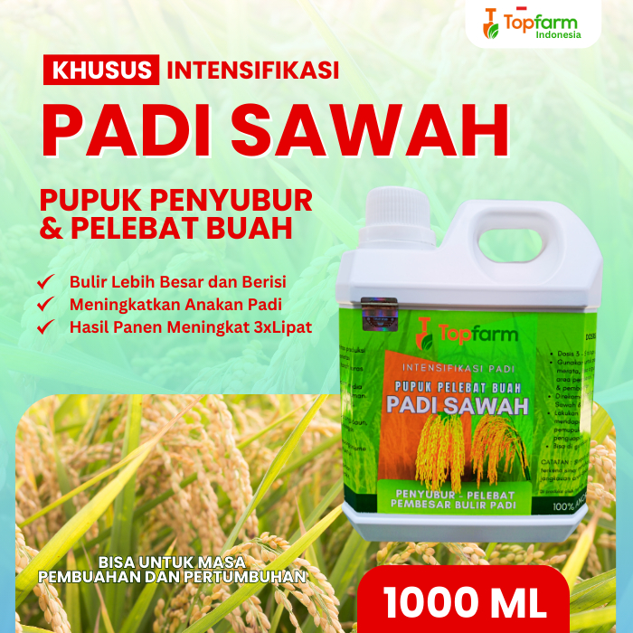 Jual Pupuk Booster Bulir Padi Merunduk Berisi / Pupuk Padi Sawah Pelebat Anakan Padi Sawah ...