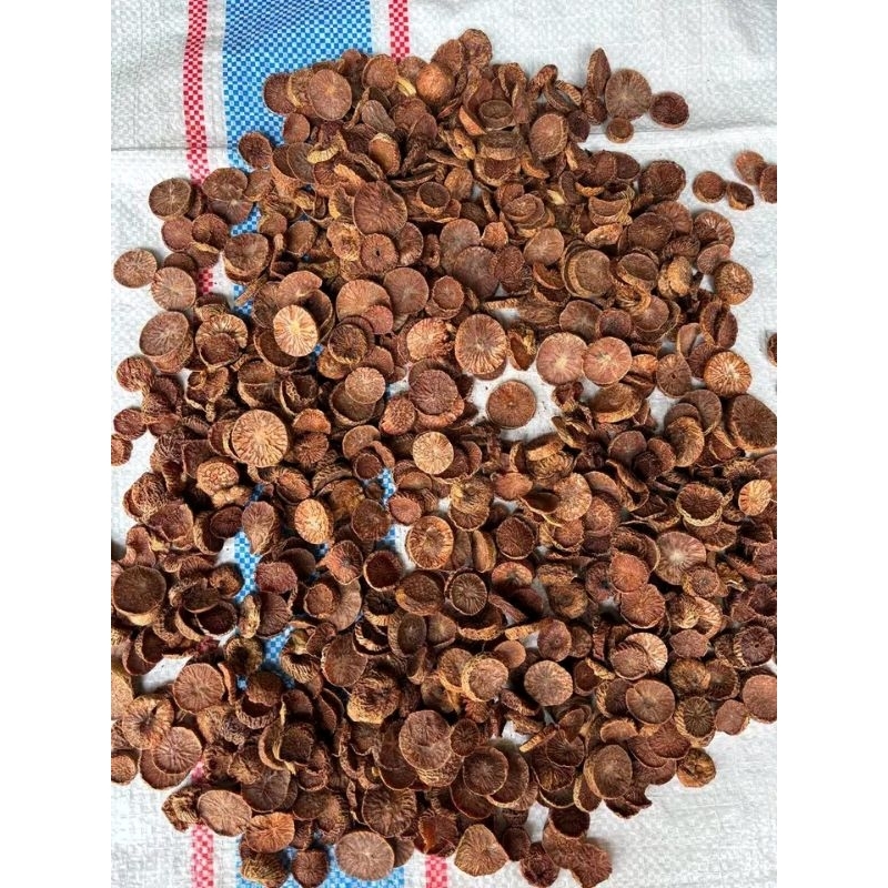 Jual Pinang Muda Iris Kering 250Gram| Obat Tradisional Alami | Shopee ...