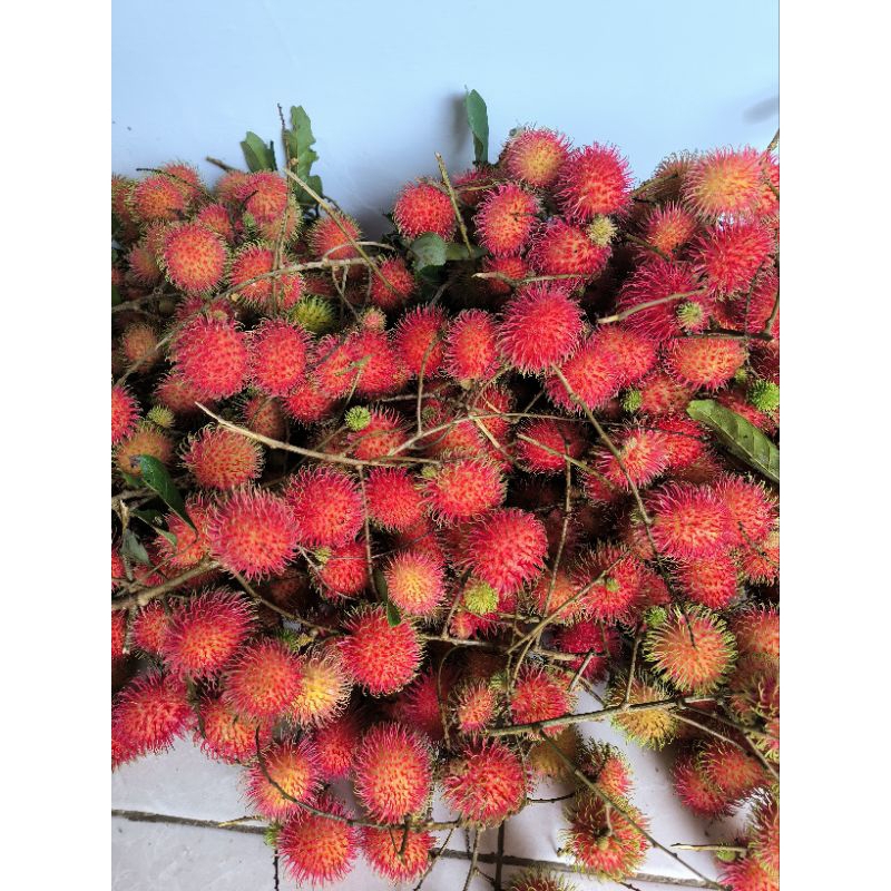 Jual Buah Rambutan Aceh Ace segar fresh 1 kg | Shopee Indonesia
