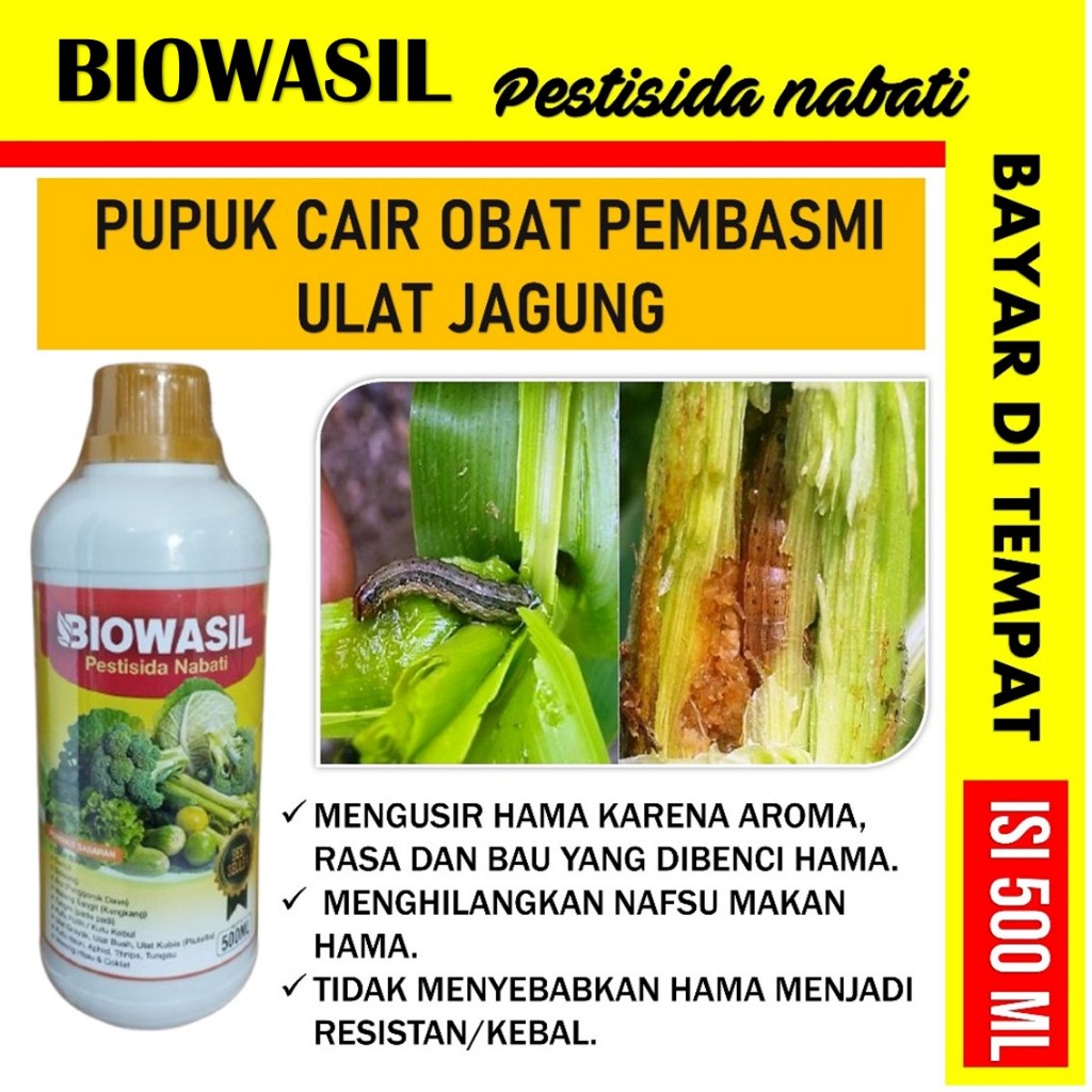 Jual (BISA COD) BIOWASIL 500 ML OBAT PEMBASMI HAMA ULAT JAGUNG MERAH, BAWANG, PARE Obat Hama ...