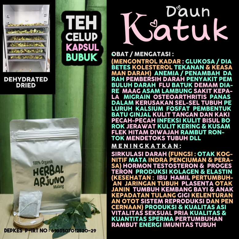 Jual Dehydrated Dried Teh Celup Kapsul Bubuk Daun Katuk Obat Anemia ...