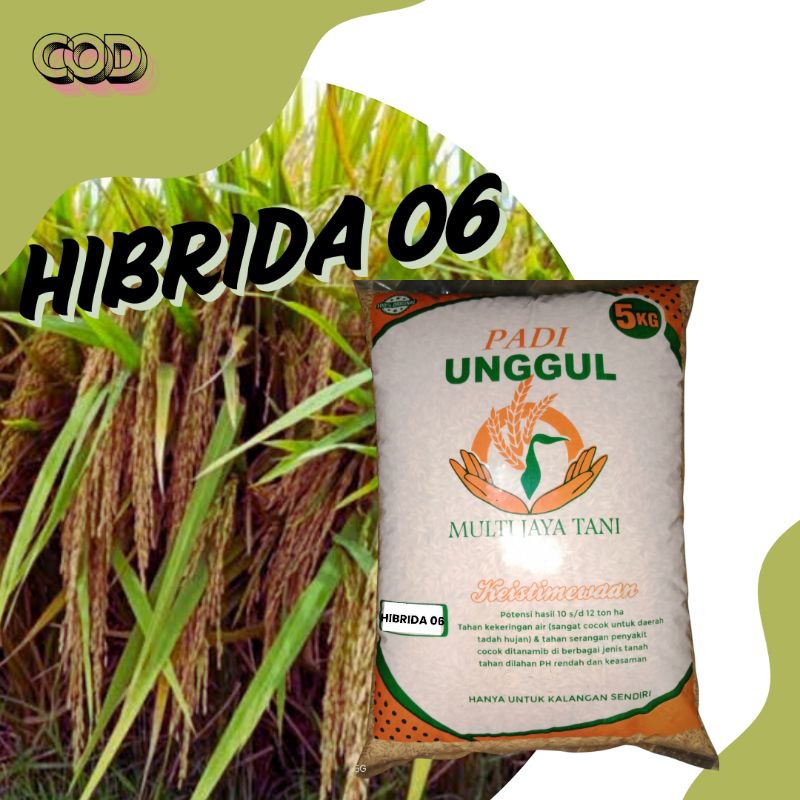 Jual BENIH PADI SUPER UNGGUL HIBRIDA 06 kemasan 5kg | Shopee Indonesia