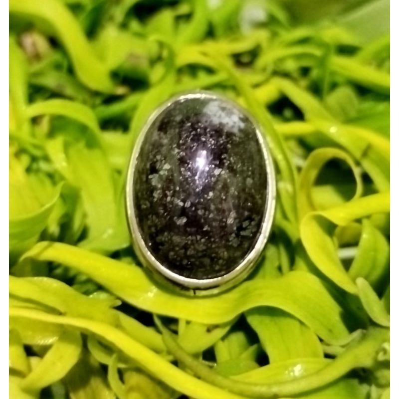 Jual badar perak gelap ngampar | Shopee Indonesia