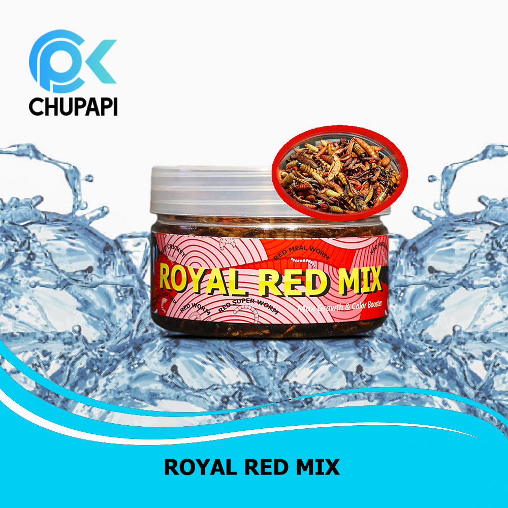 Jual PAKAN IKAN CHANNA ROYAL CHANNA RED MIX CHANNA SYNDICATE | Shopee ...