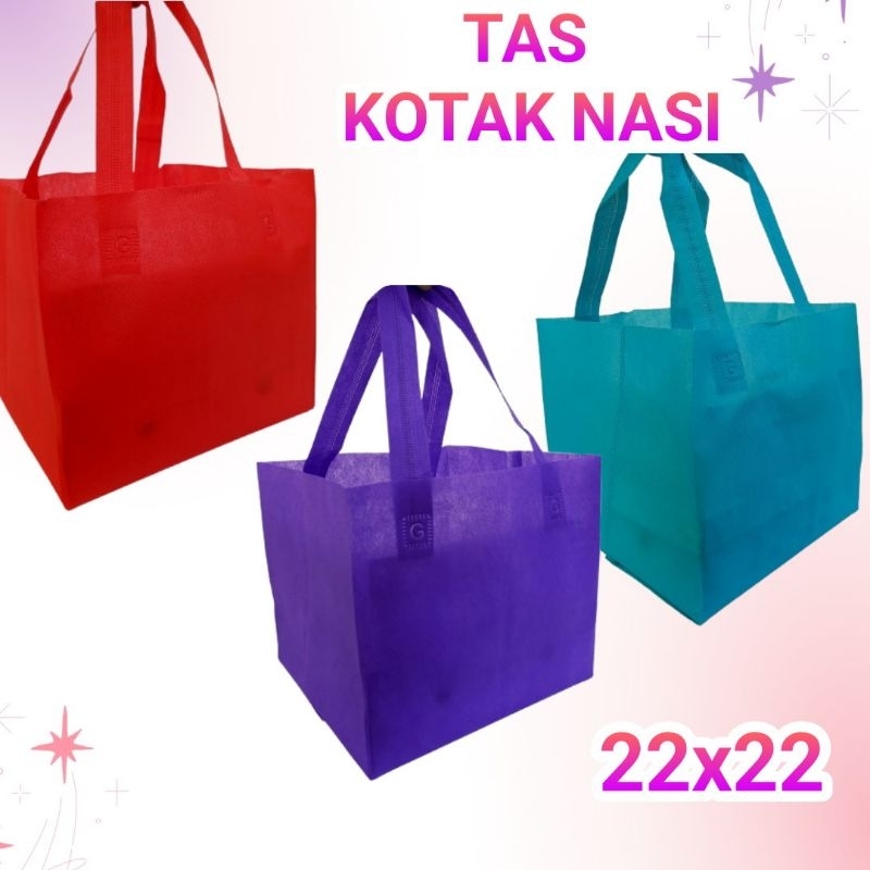 Jual (Harga per PCS) Box Dux 22x22 & 20x20 Tas spunbond Tas box besek dan nasi kotak | Shopee ...