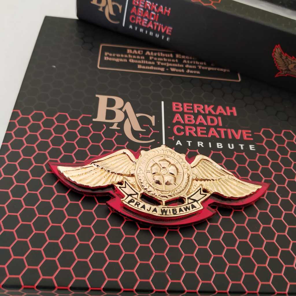 Jual Wing Pol Pp Polos | Shopee Indonesia