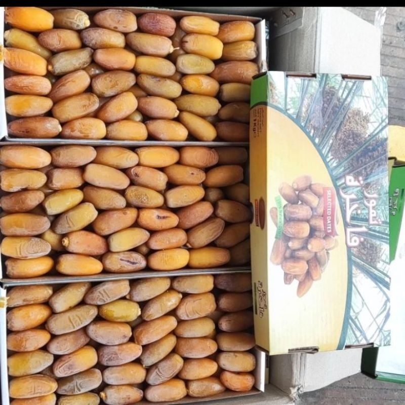 Jual Kurma Ruthob Libya 1 kg-Kurma Muda Fresh 1kg | Shopee Indonesia