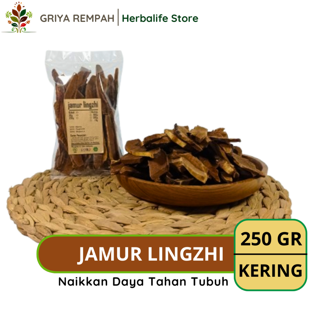 Jual JAMUR LINGZHI KERING 250 GRAM Premium Reishi Ramuan Rempah Herbal ...