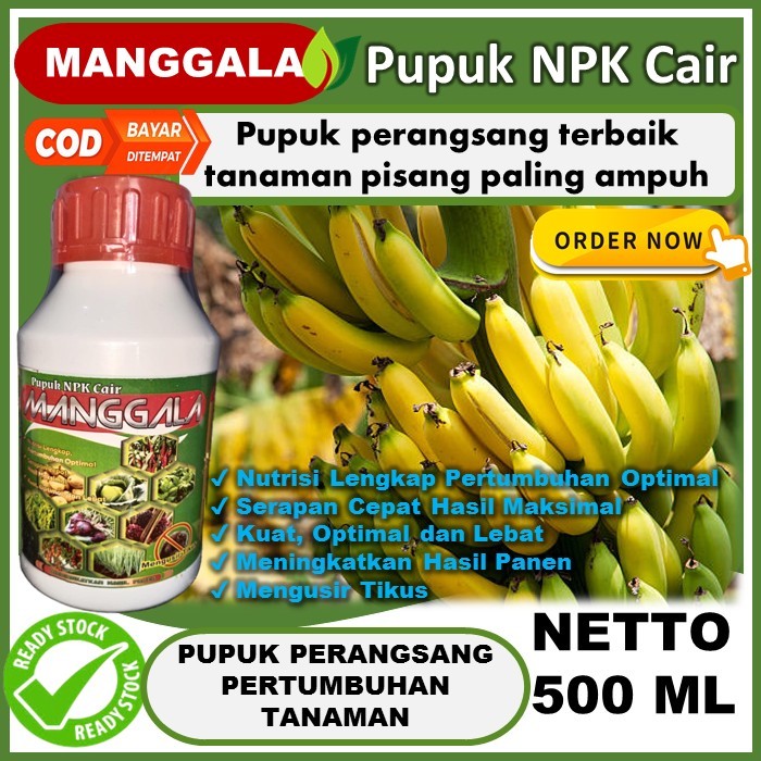 Jual MANGGALA 500ML PUPUK tanaman pisang paling ampuh - tanaman pisang tahan dari hama dan ...