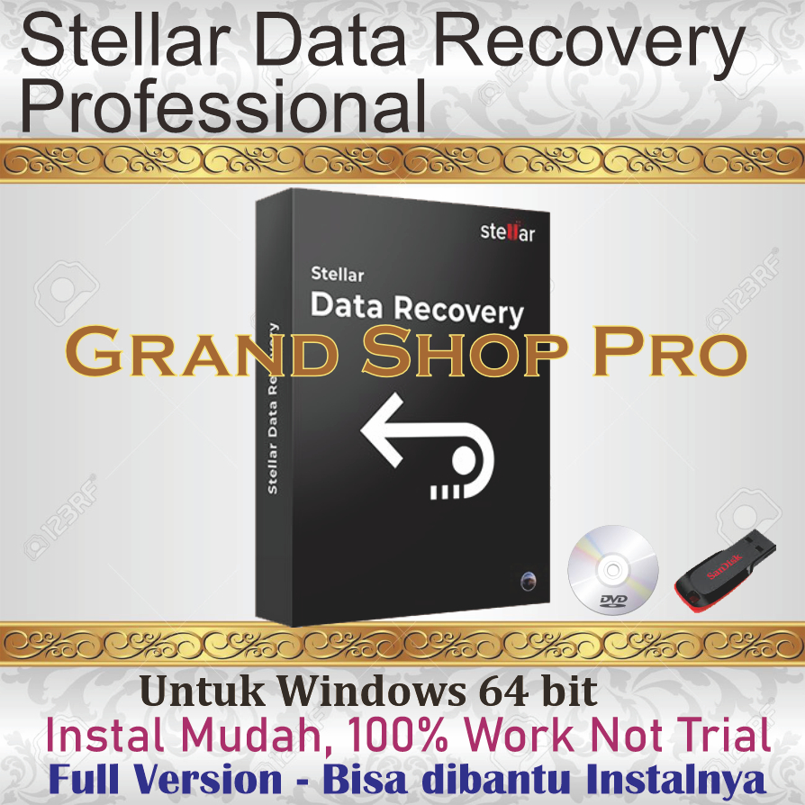 Jual Stellar Data Recovery Professional 12.0.0.0 (Full Version, Not ...