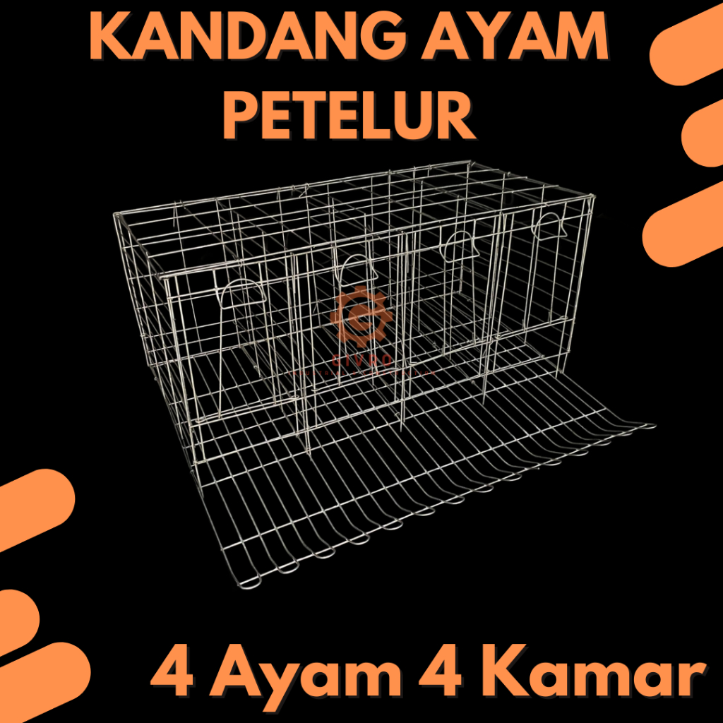 Jual Kandang Petelur 4 Ayam 4 Kamar - Model Terbaru, Kapasitas 4 Ayam, Desain Terorganisir dan ...