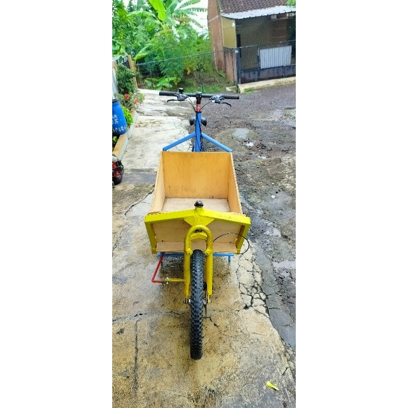 Jual sepeda cargo / cargo bike | Shopee Indonesia