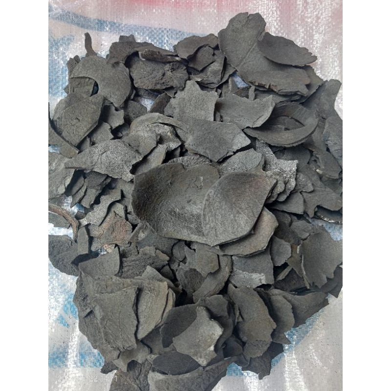 Jual areng arang batok kelapa 10kg | Shopee Indonesia