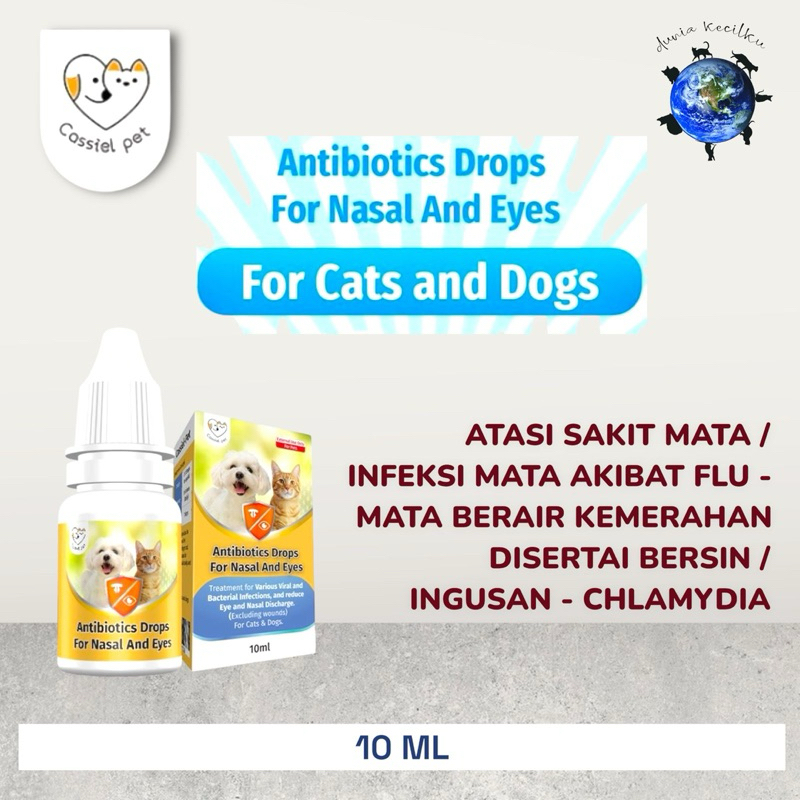 Jual Cassiel Pet Virus (FHV) Drops TETES MATA Kucing Anjing FLU BERAT ...