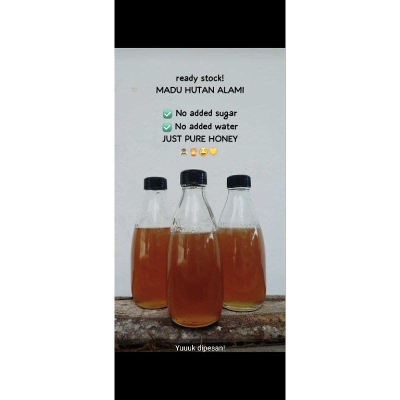 Jual Madu Hutan Alami Asli Natural Multiflora (BUKAN TERNAK) | Shopee ...