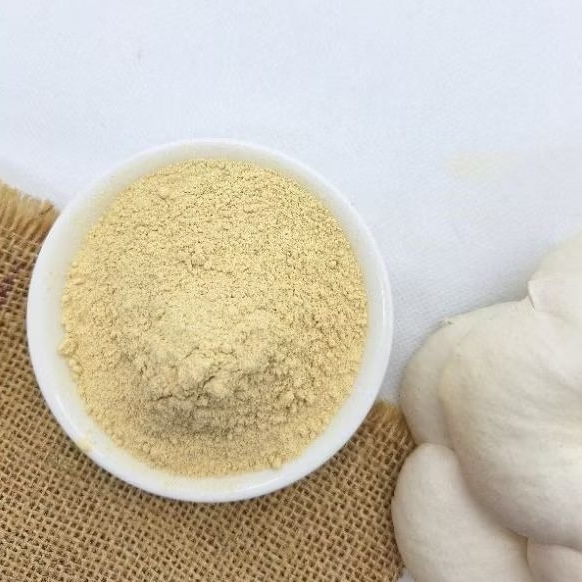 Jual tepung jamur/ jamur tiram bubum original kemasan 1 kg curah umamur ...