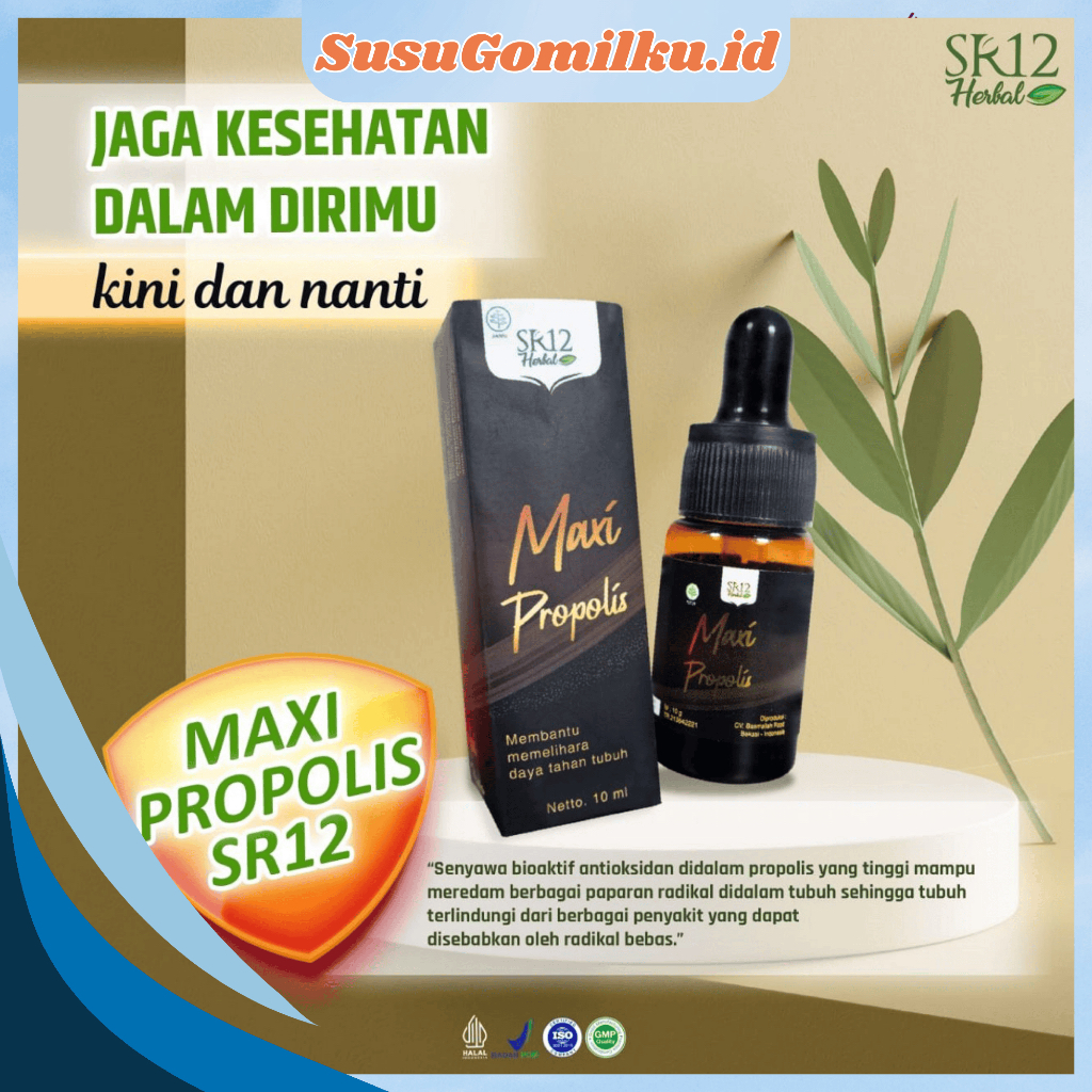 Jual SR12 MAXI PROPOLIS - Menjaga Daya Tahan Tubuh - Menurunkan Glukosa Darah - Sebagai Anti ...