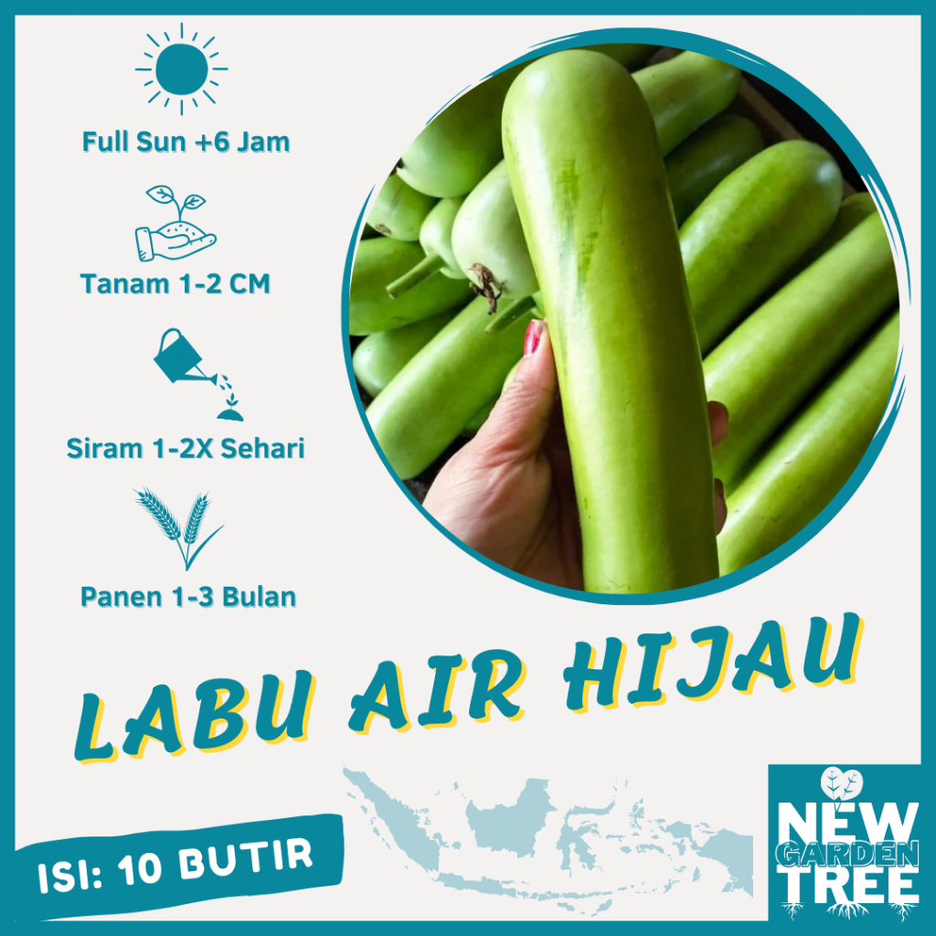 Jual BENIH SAYURAN: 10 BENIH LABU AIR HIJAU PANJANG KUALITAS TERBAIK ...