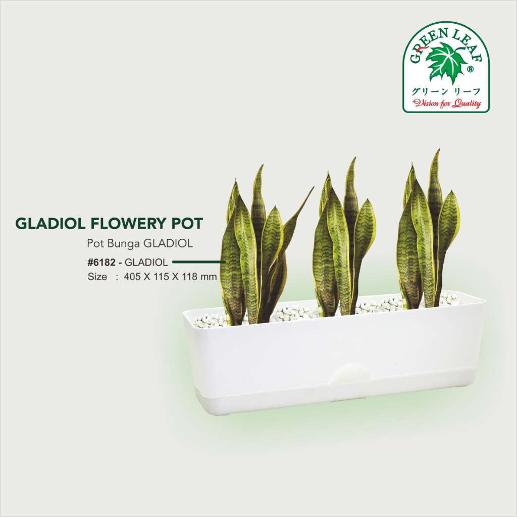 Jual GREEN LEAF pot bunga GLADIOL (6182) | Shopee Indonesia