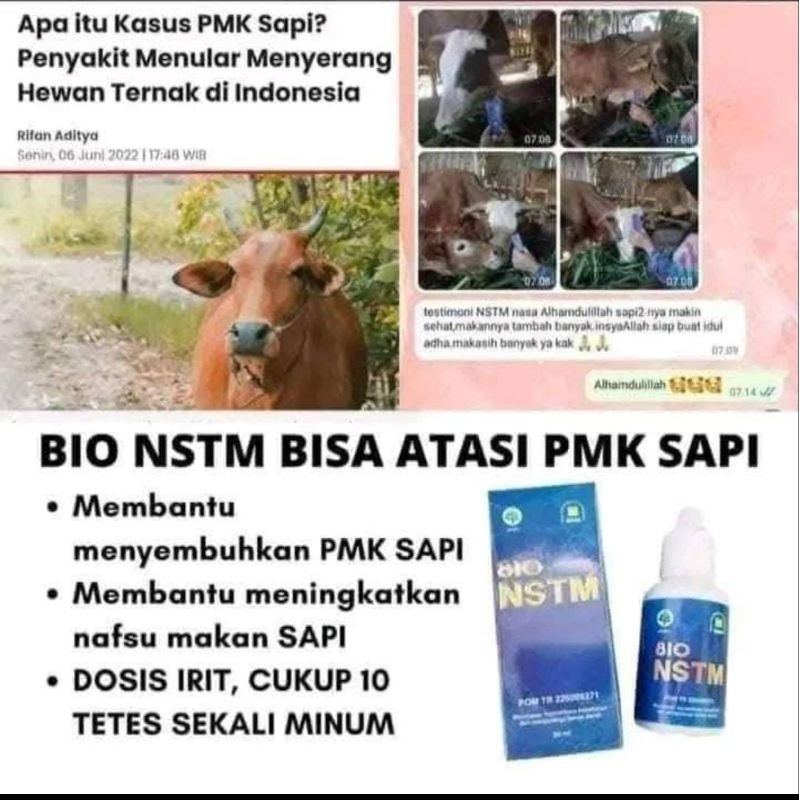 Jual BIO NASATM / NSTM OBAT HERBAL SEJUTA MANFAAT ATASI SAPI PMK DAN ...
