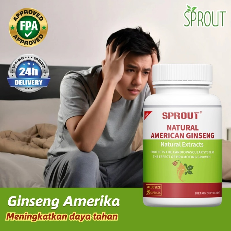 Jual SPROUT American Ginseng Capsules meningkatkan sirkulasi darah ...