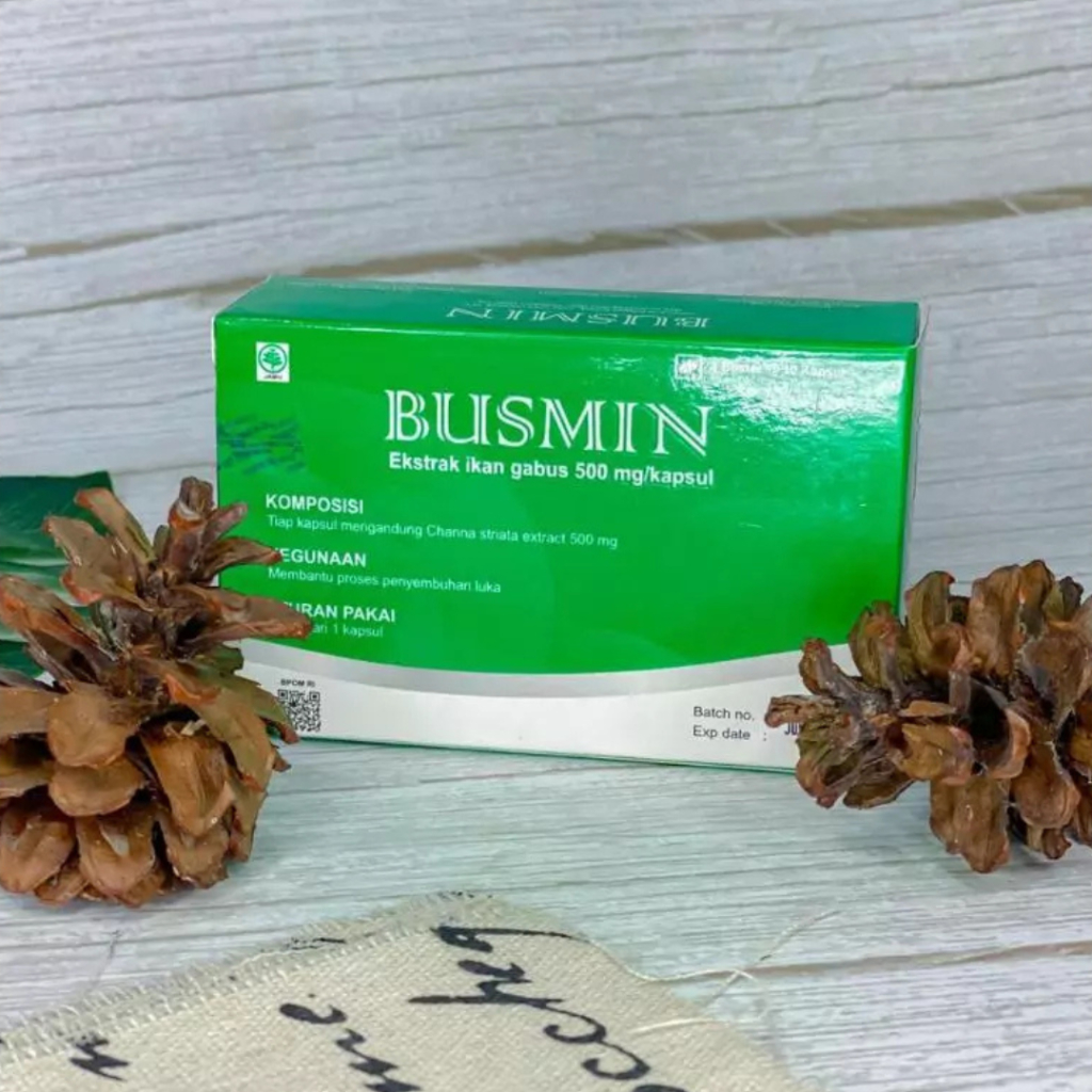 Jual Busmin Kapsul BUSMIN Busmin Box Ekstrak Ikan Gabus, Busmin Kapsul ...