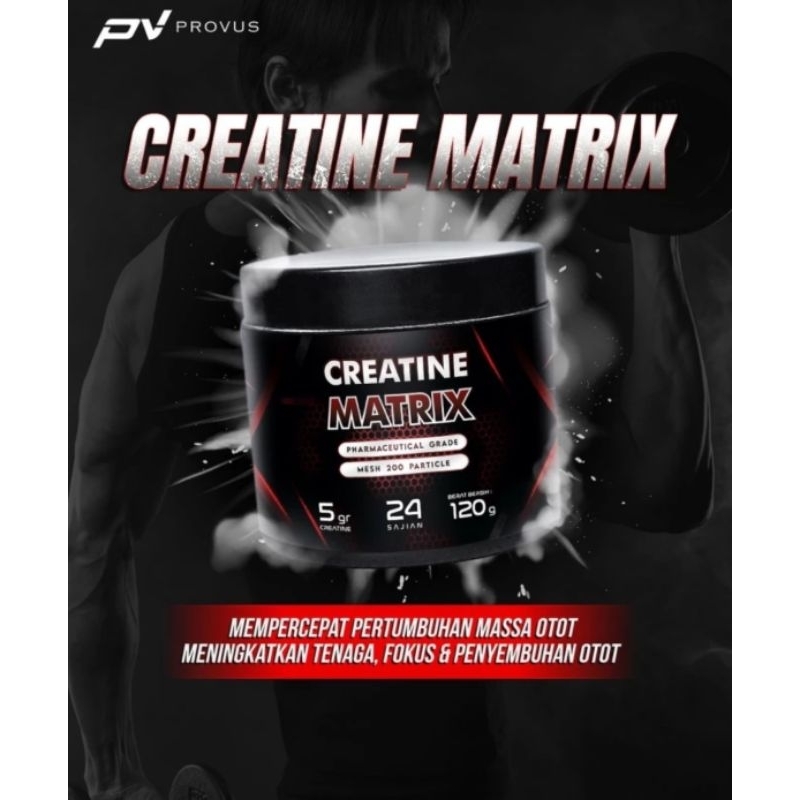 Jual PROVUS CREATINE MATRIX 120GRAM creatine pure monohydrate | Shopee ...