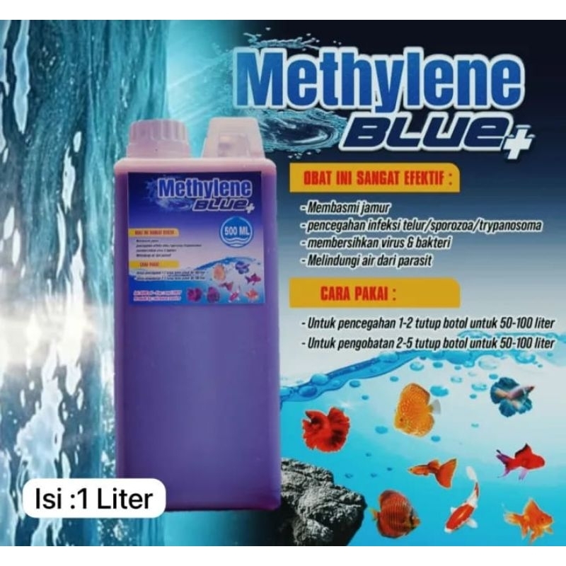 Jual Methylene Blue 1 Liter Methaline Methyline Methlin Blue Obat Biru ...