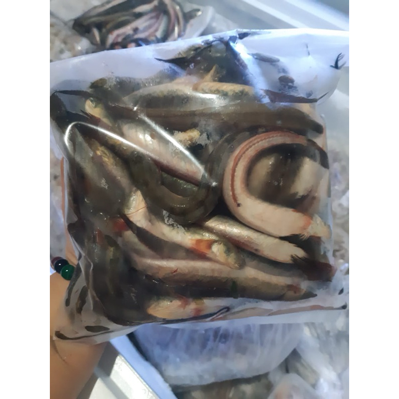 Jual Ikan Janjan | Shopee Indonesia