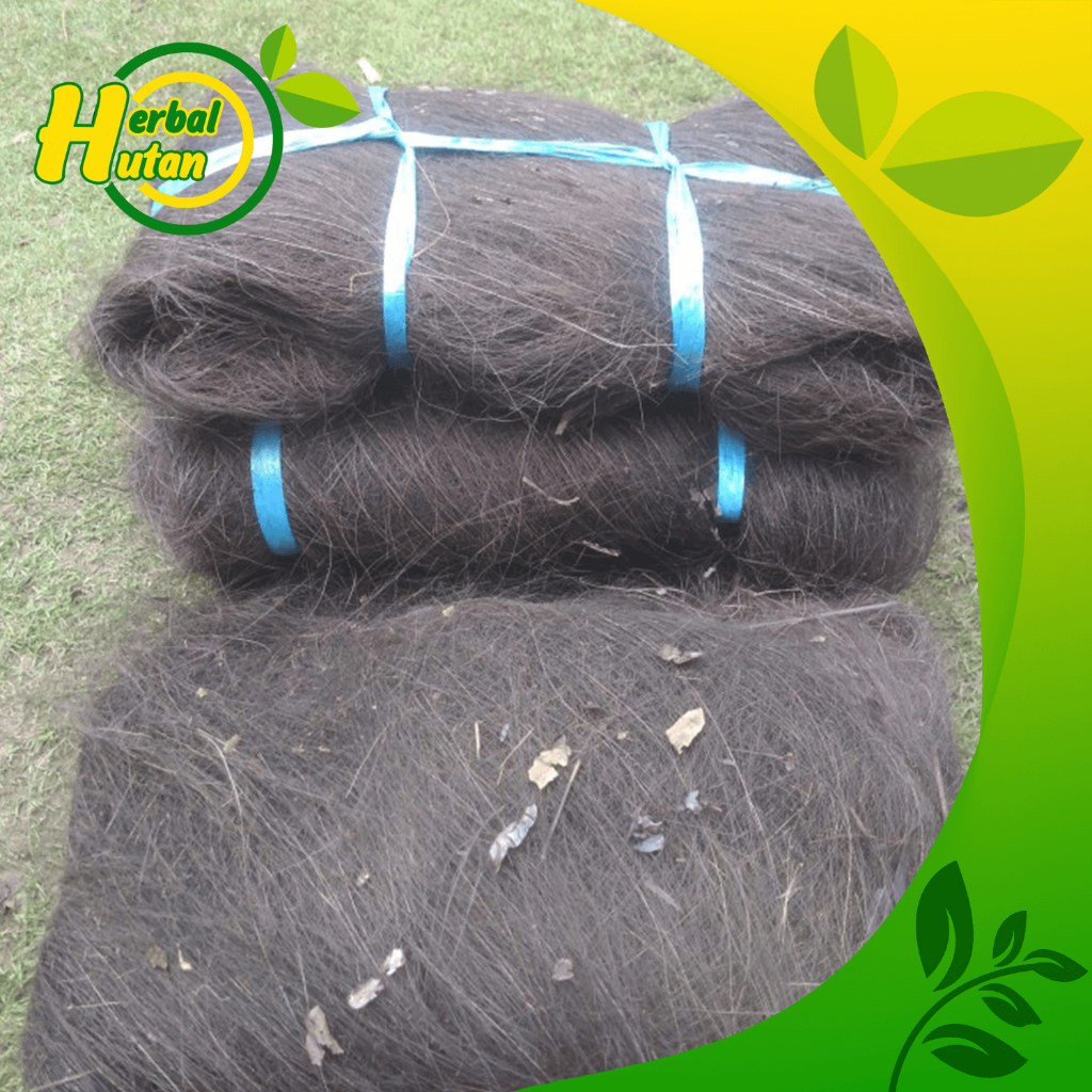 Jual IJUK RESAPAN - IJUK AREN -MEDIA FILTER-RESAPAN SEPTIC TANK ...