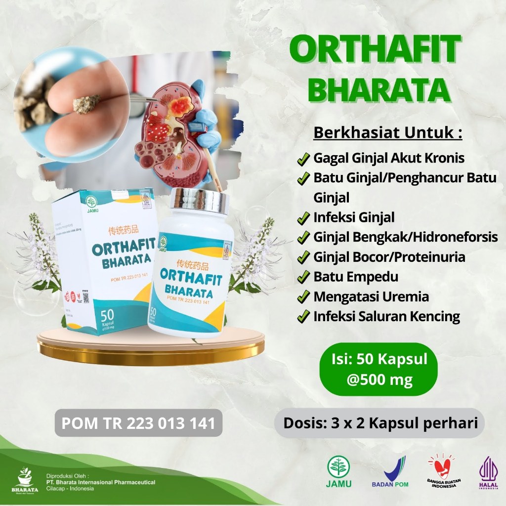 Jual Orthafit Bharata Obat ISK Infeksi Saluran Kencing, Ginjal, Kencing Batu, Gagal Ginjal Pria ...