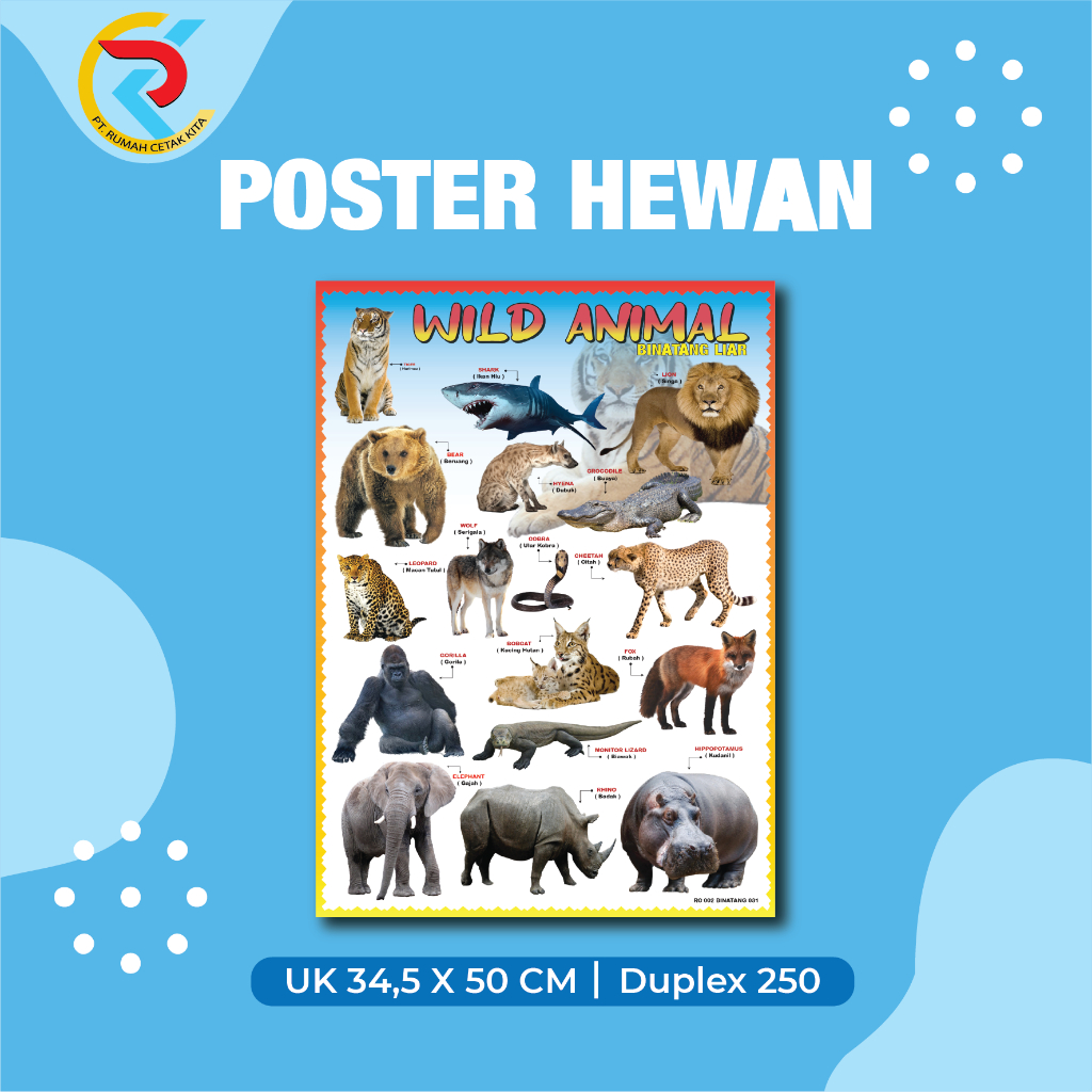 Jual Poster Edukasi Anak Aneka Hewan 34 | Hiasan Dinding Ruangan Kelas ...