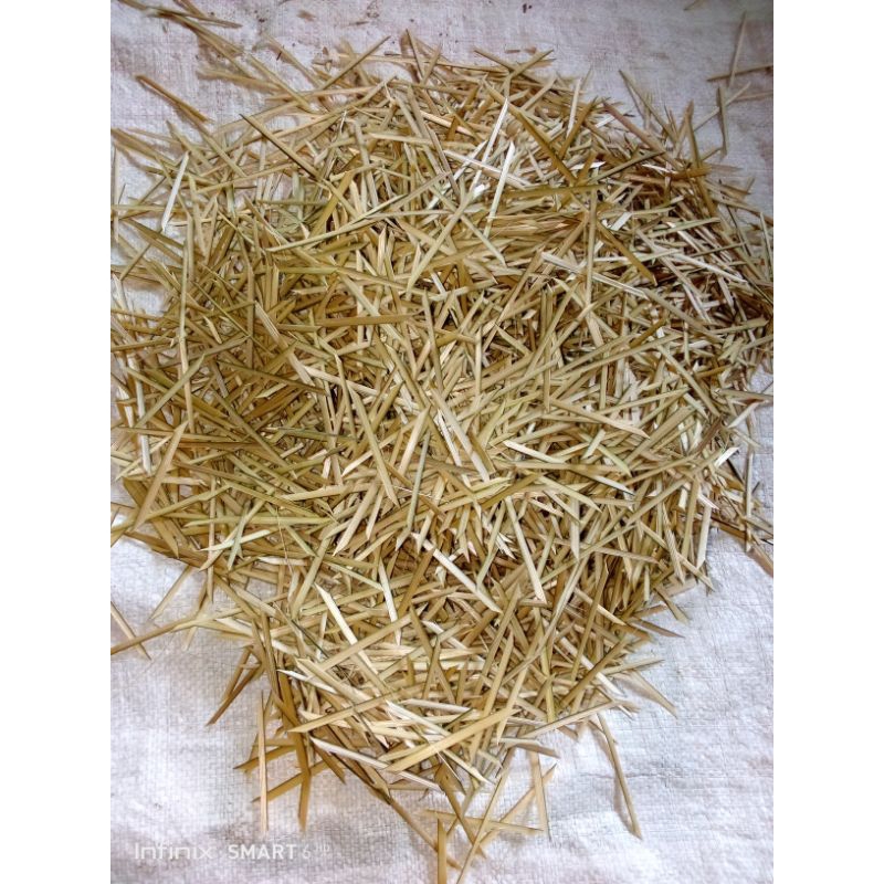 Jual Biting Bambu PENYEMAT Tempe Daun Lancip dan Lentur 1KG | Shopee ...