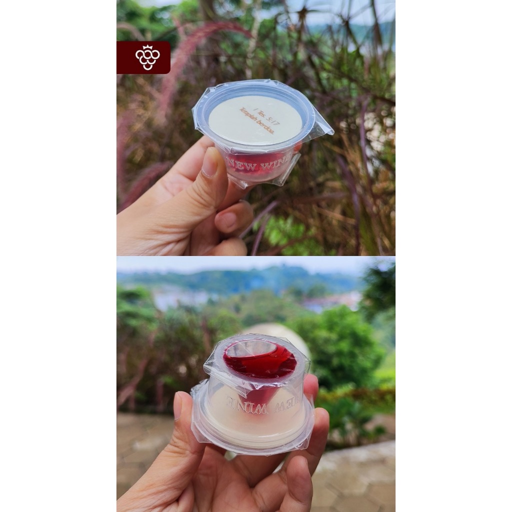 Jual Paket Eksklusif Minuman Perjamuan Kudus Cawan Besar + Hosti Ayat ...