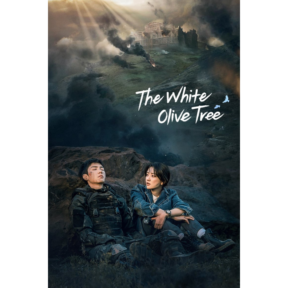 Jual The White Olive Tree (2025) 5d | Shopee Indonesia