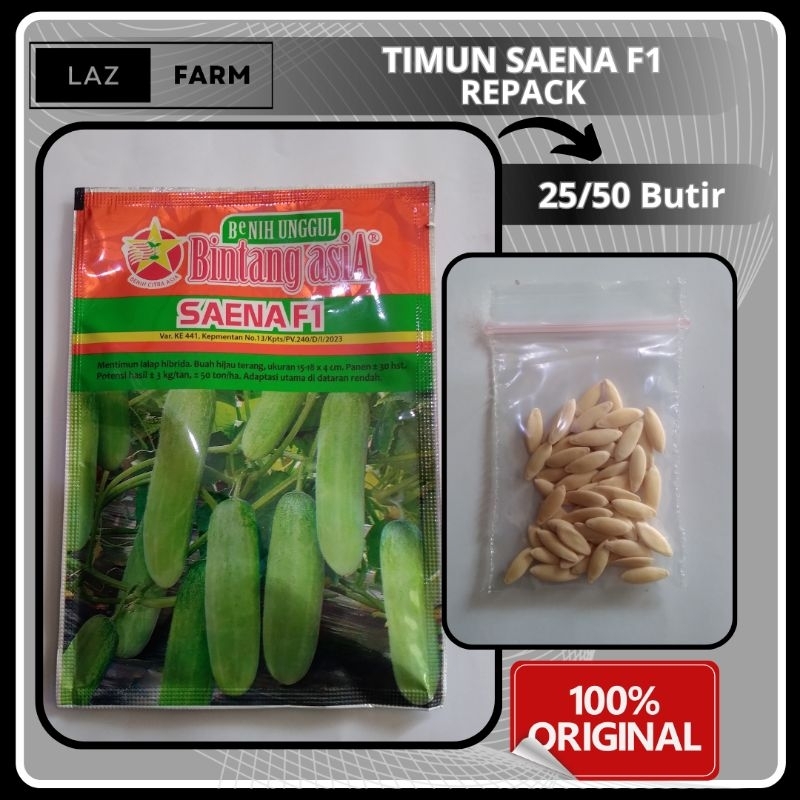 Jual 50 Butir Benih Timun SAENA F1 BINTANG ASIA [Kemasan Repack ...