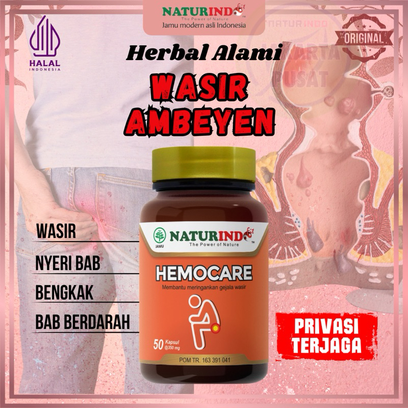 Jual Naturindo Hemocare Herbal Obat Wasir Wasiri Ambien Ambeyen Ambeien Bab Berdarah Sakit ...