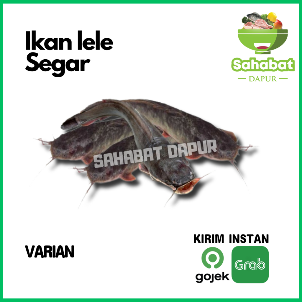 Jual Ikan Lele Segar 1 kg - Sahabatdapur | Shopee Indonesia